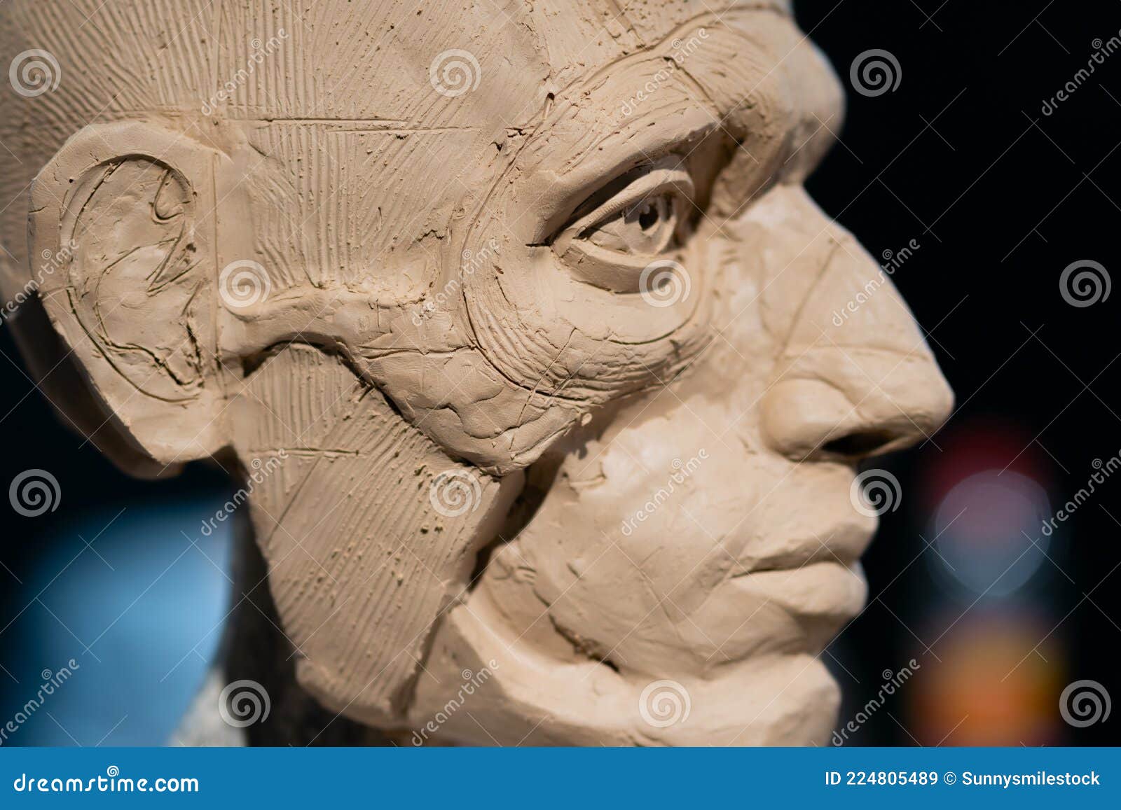 The Process of Creating Ecorche. the Sculptor is Working Stock Image ...
