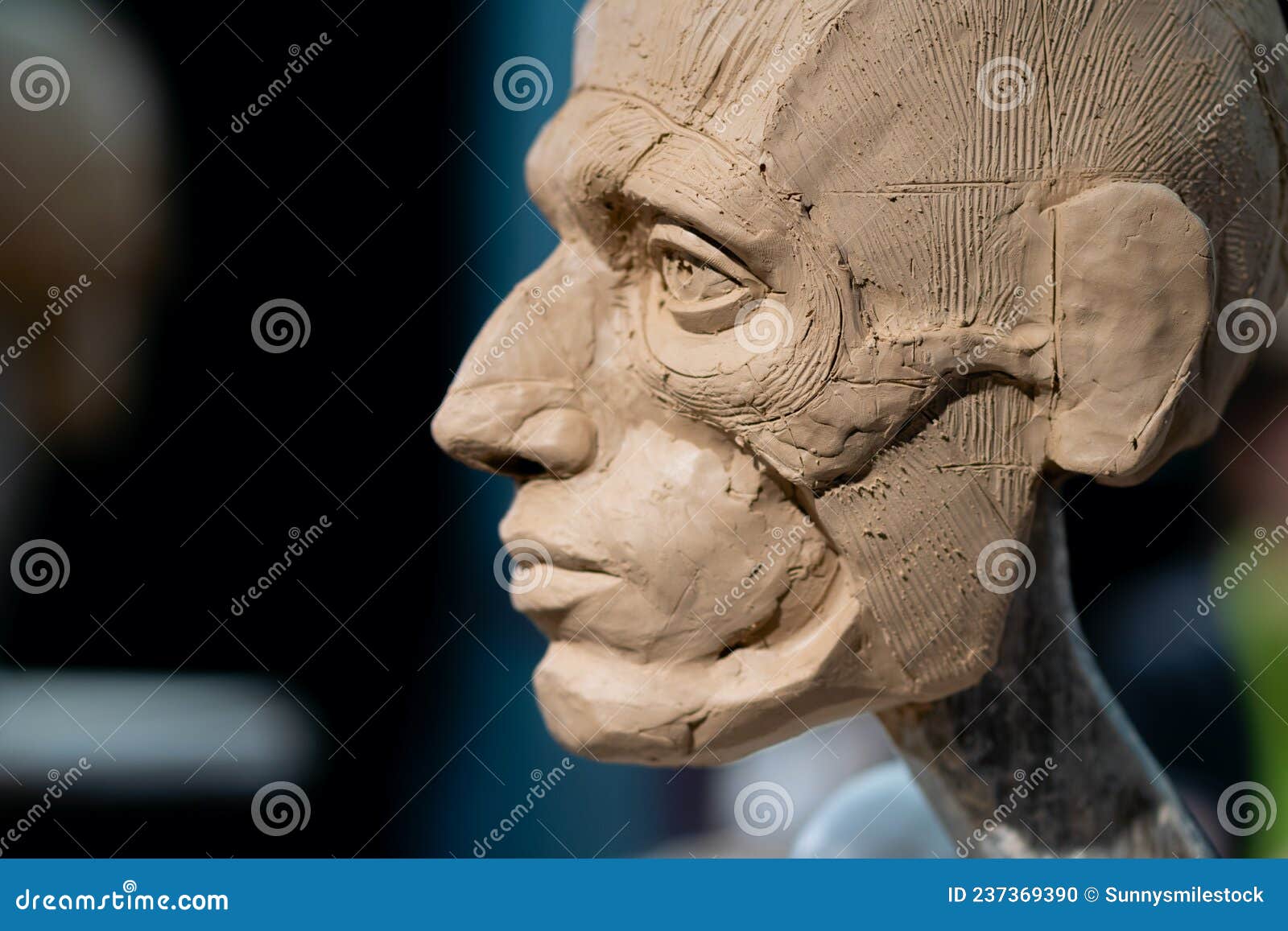 The Process of Creating Ecorche. the Sculptor is Working Stock Photo ...