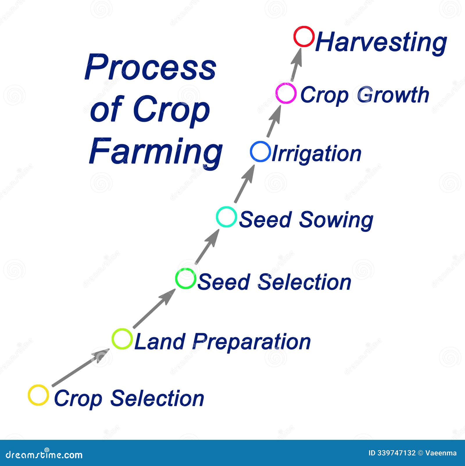 Process of Crop Farming stock photo. Image of agriculture - 339747132