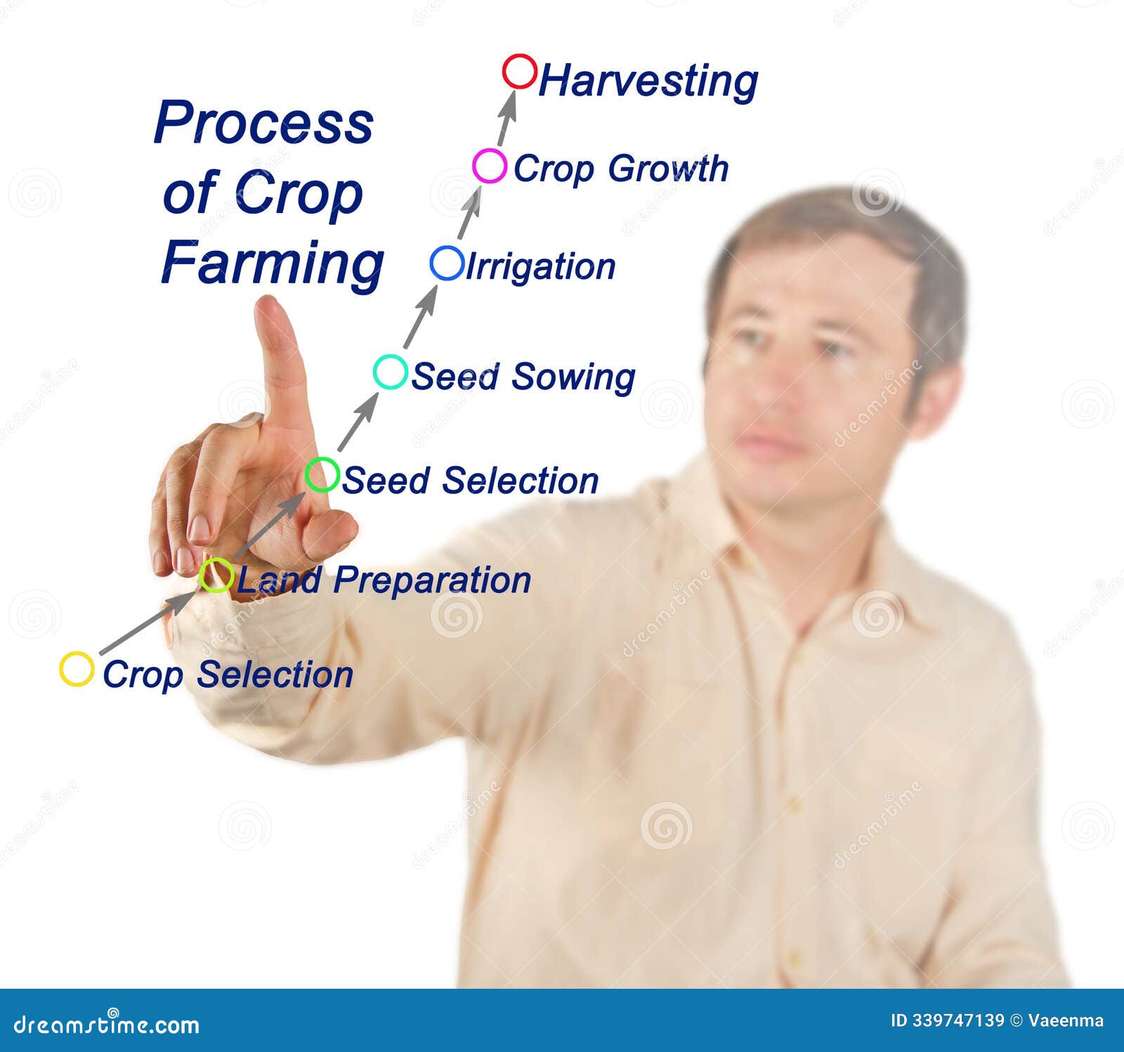 Process of Crop Farming stock image. Image of 5155, land - 339747139