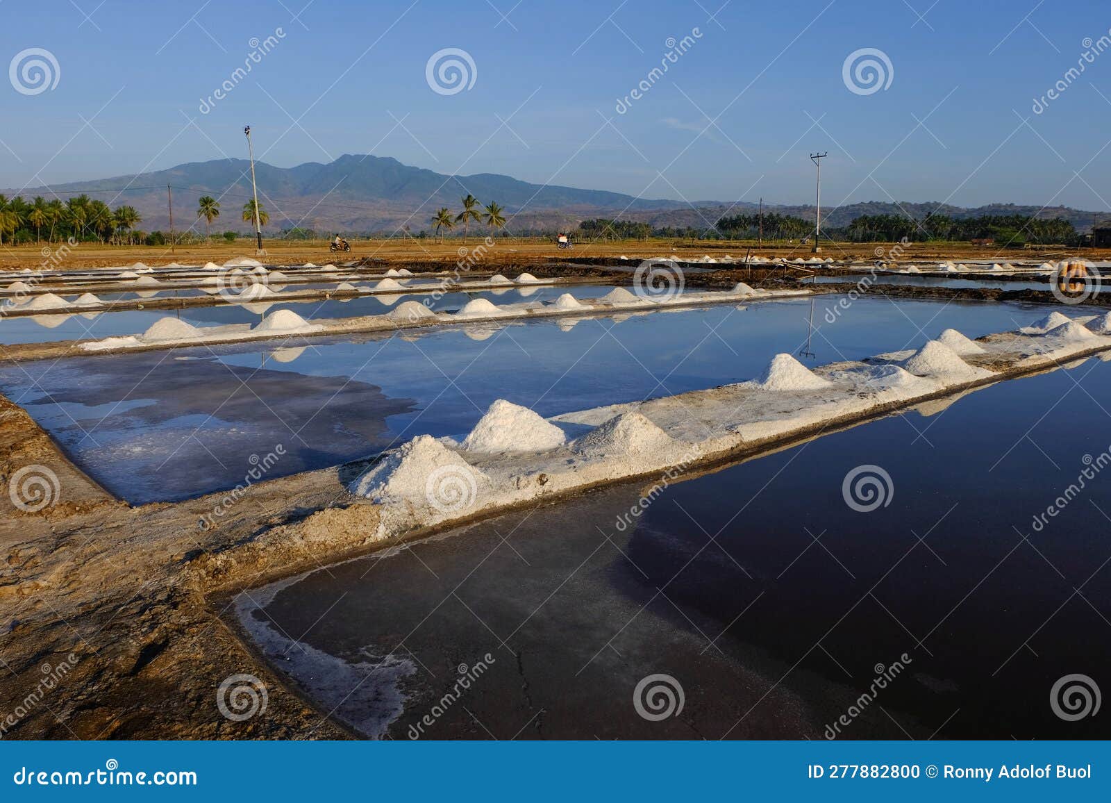 The Process of Crystallization of Sea Water into Salt in the ...
