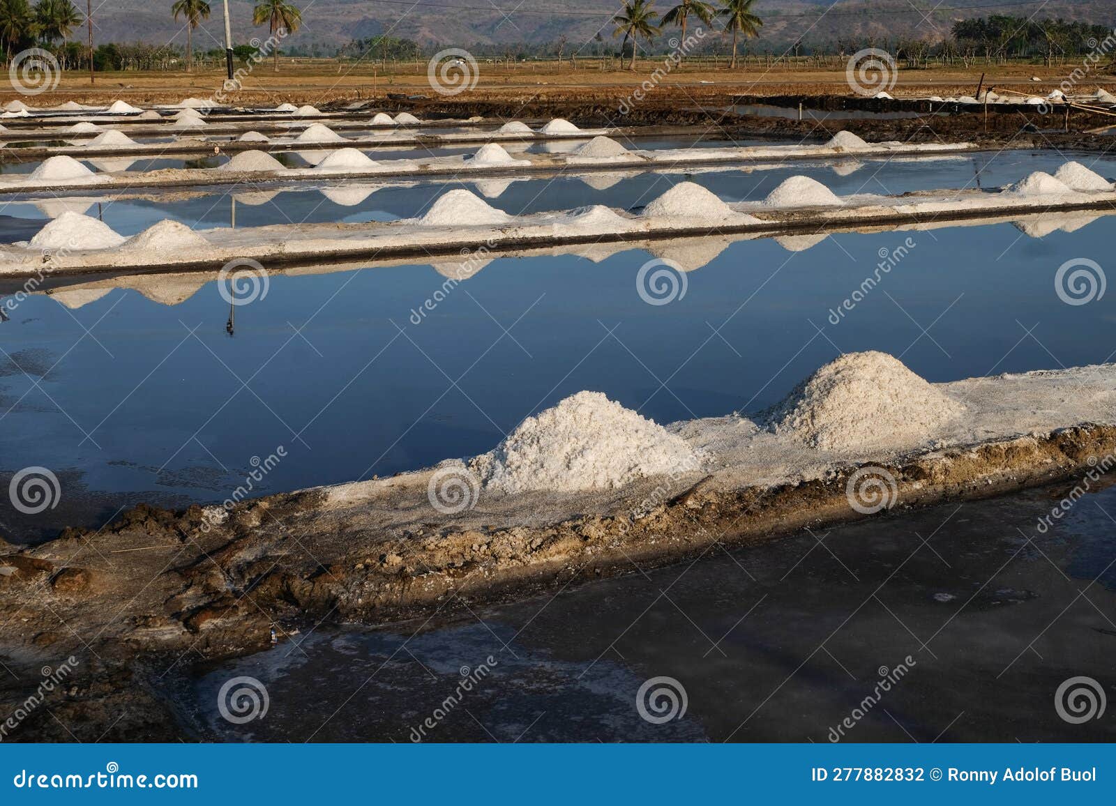 The Process of Crystallization of Sea Water into Salt in the ...