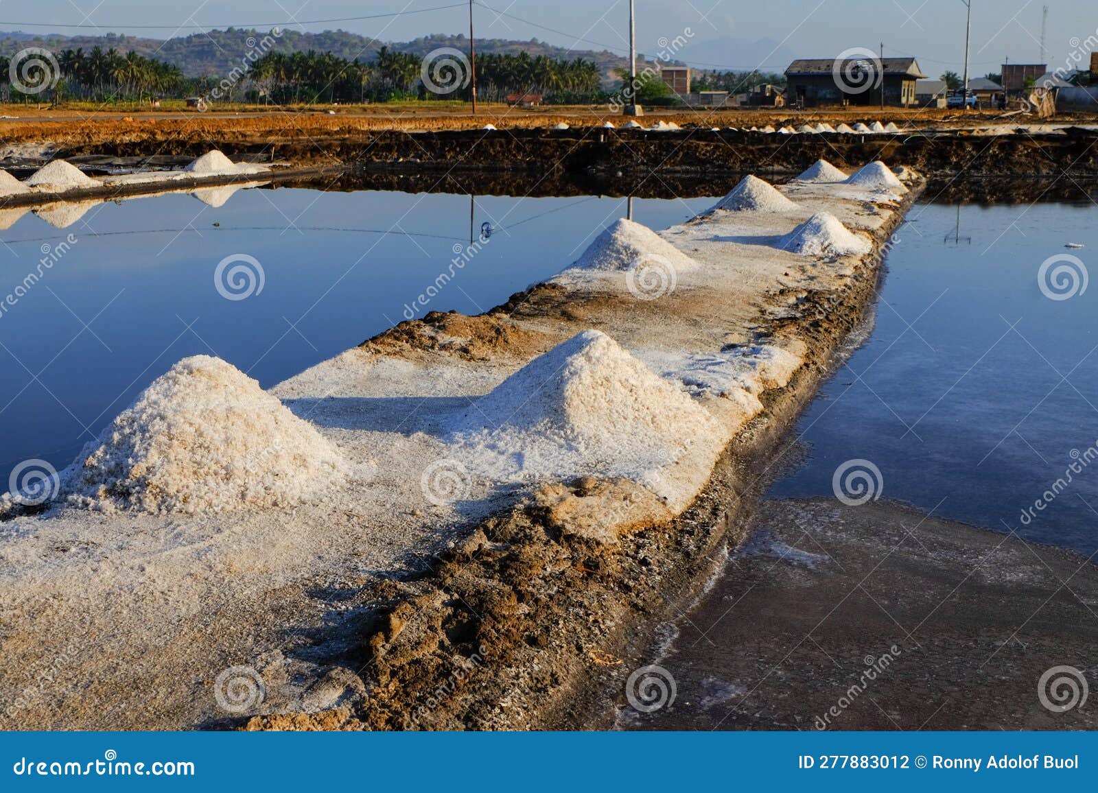 The Process of Crystallization of Sea Water into Salt in the ...