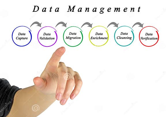 Process of Data Management stock illustration. Illustration of ...