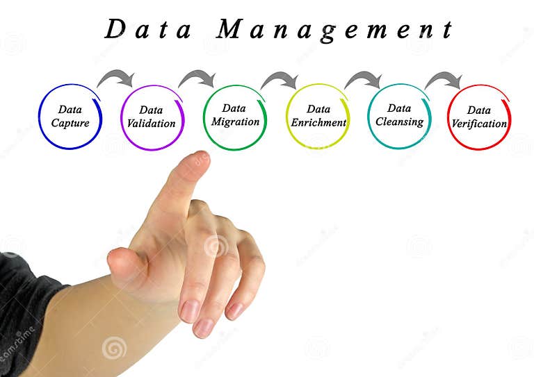 Process of Data Management stock illustration. Illustration of ...