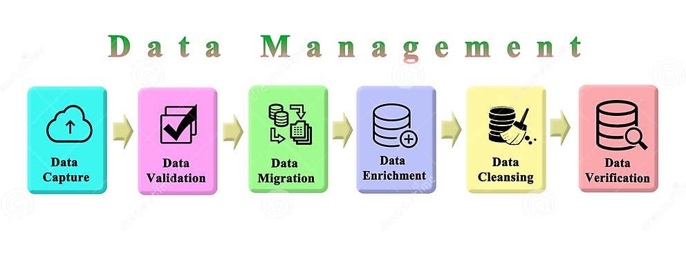 Process of Data Management stock illustration. Illustration of ...