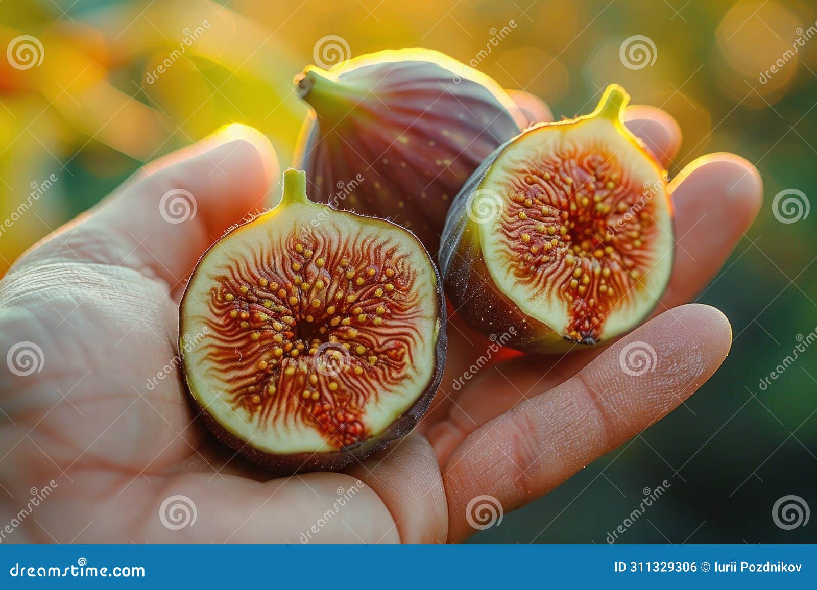 Symbiosis of Nature and Man: Cut Figs Show the Inner Beauty of Nature ...