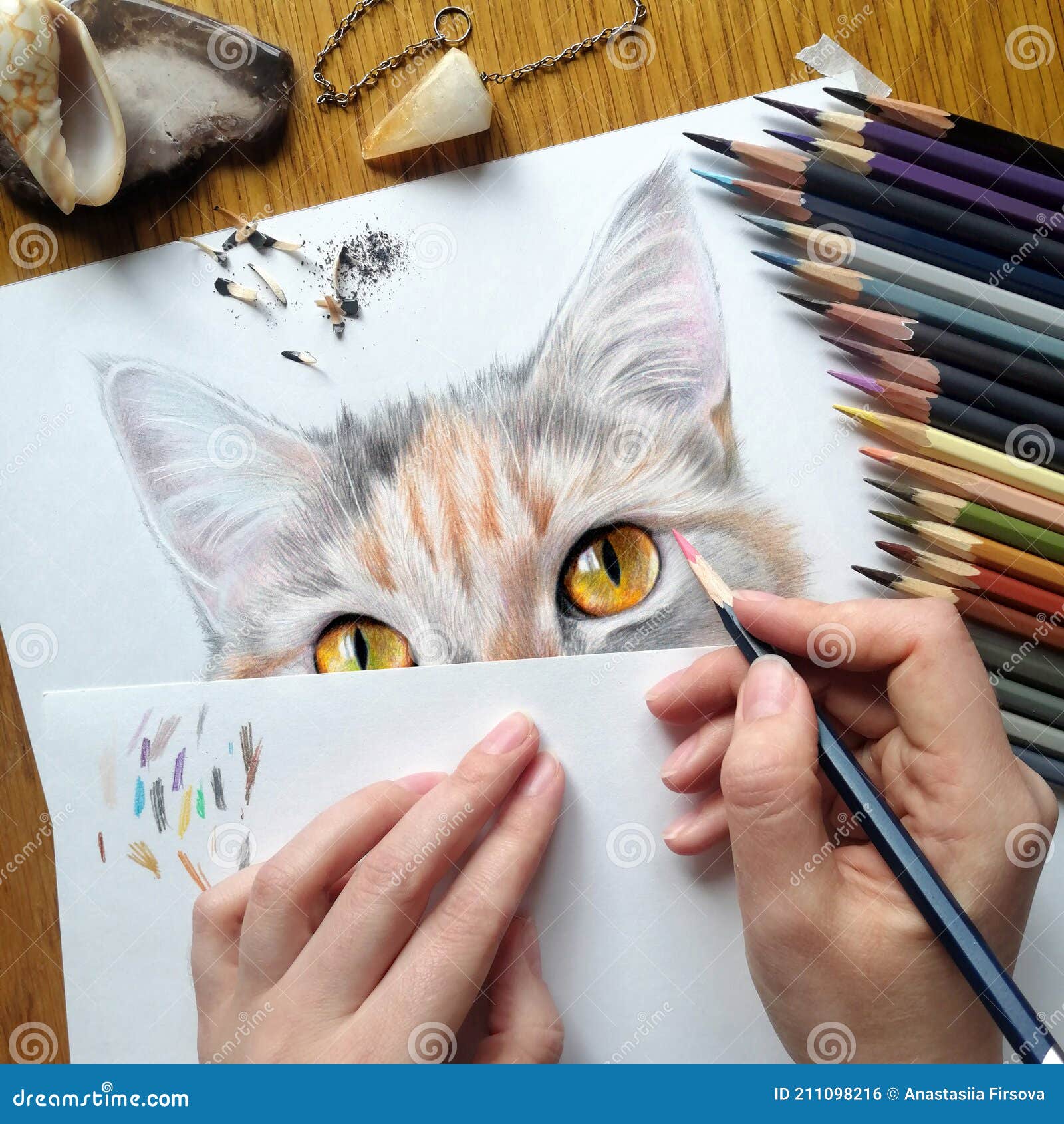 Realistic Cat Drawing