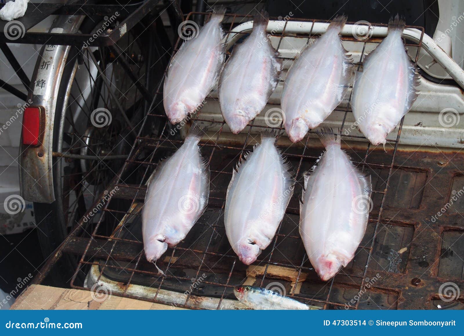 On process Dried flatfish stock photo. Image of grill - 47303514