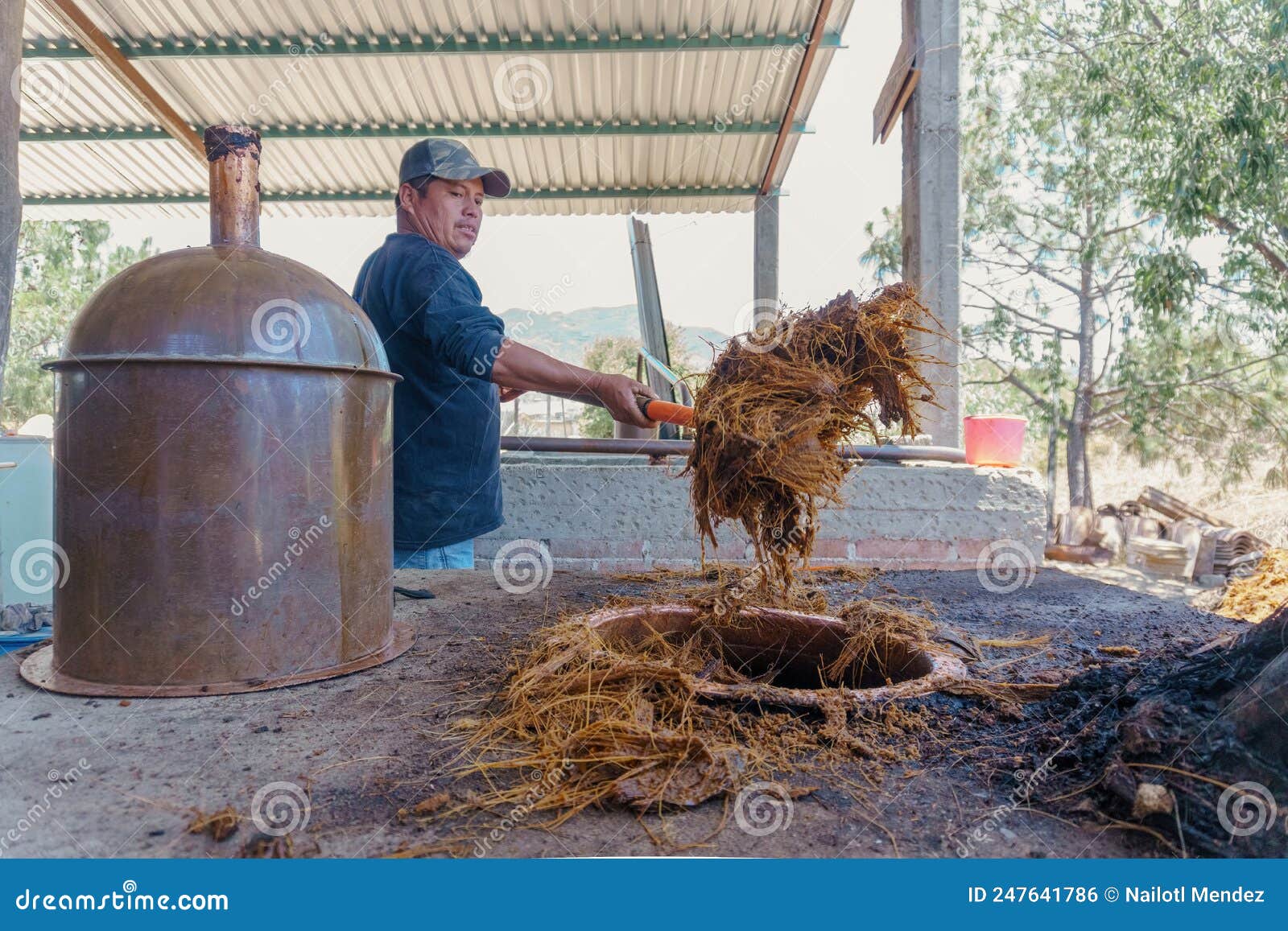 Process of Elaboration of Mezcal in an Artisanal Way Stock Photo ...