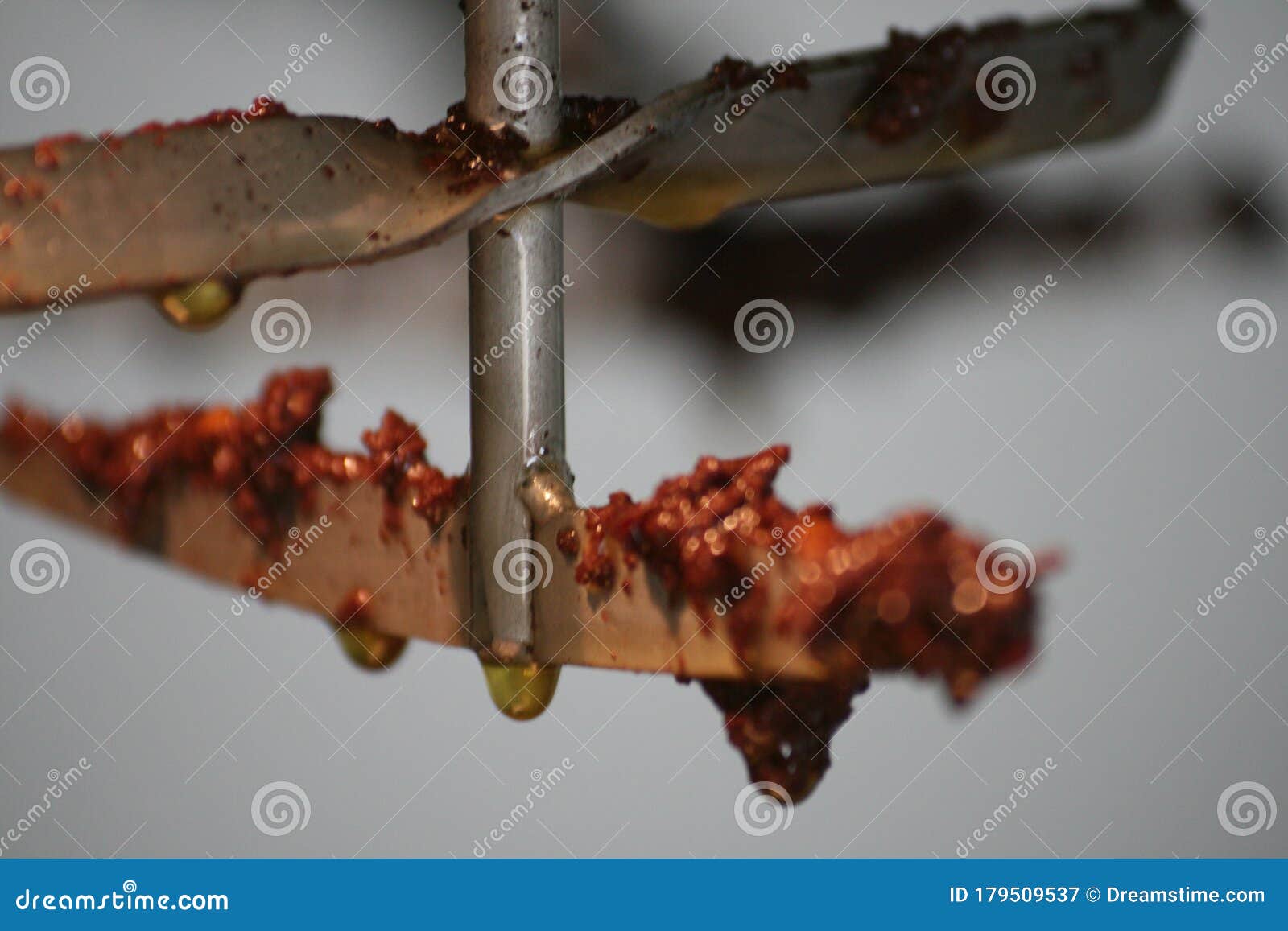 Process of Elaboration of Olive Oil in a Laboratory Stock Image - Image ...