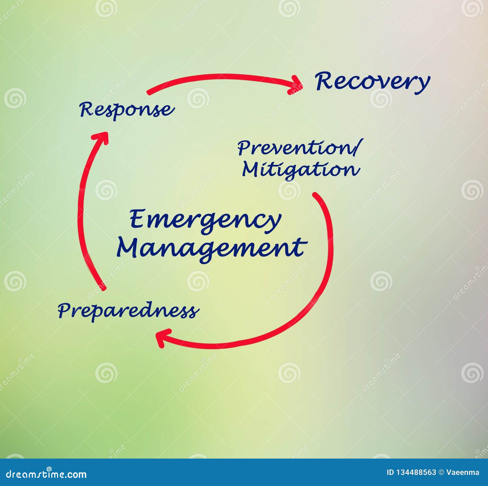 Process of Emergency Management Stock Illustration - Illustration of ...