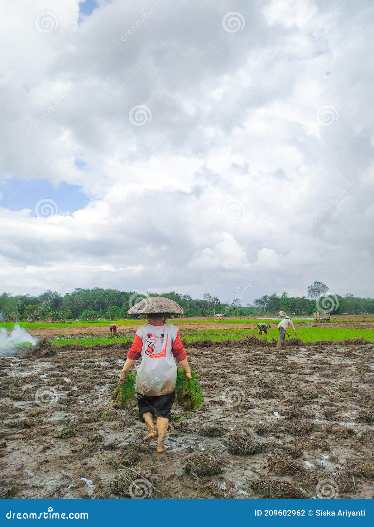 The Process of Farming Using Traditional Methods Editorial Photography ...