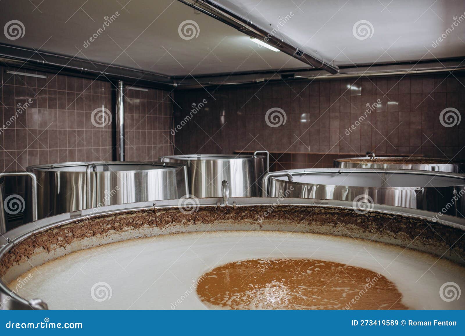 Process of Fermentation and Filtration of Beer Inside the Vat. Stock ...