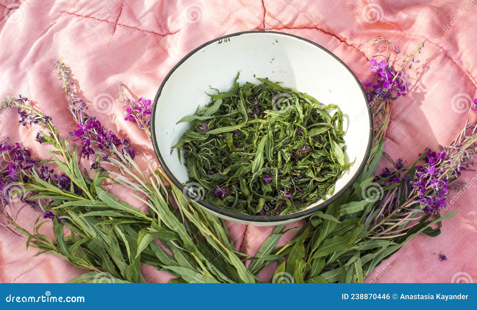 Process of Fermentation of Tea. Manual Processing Ivan Tea Fermentation ...