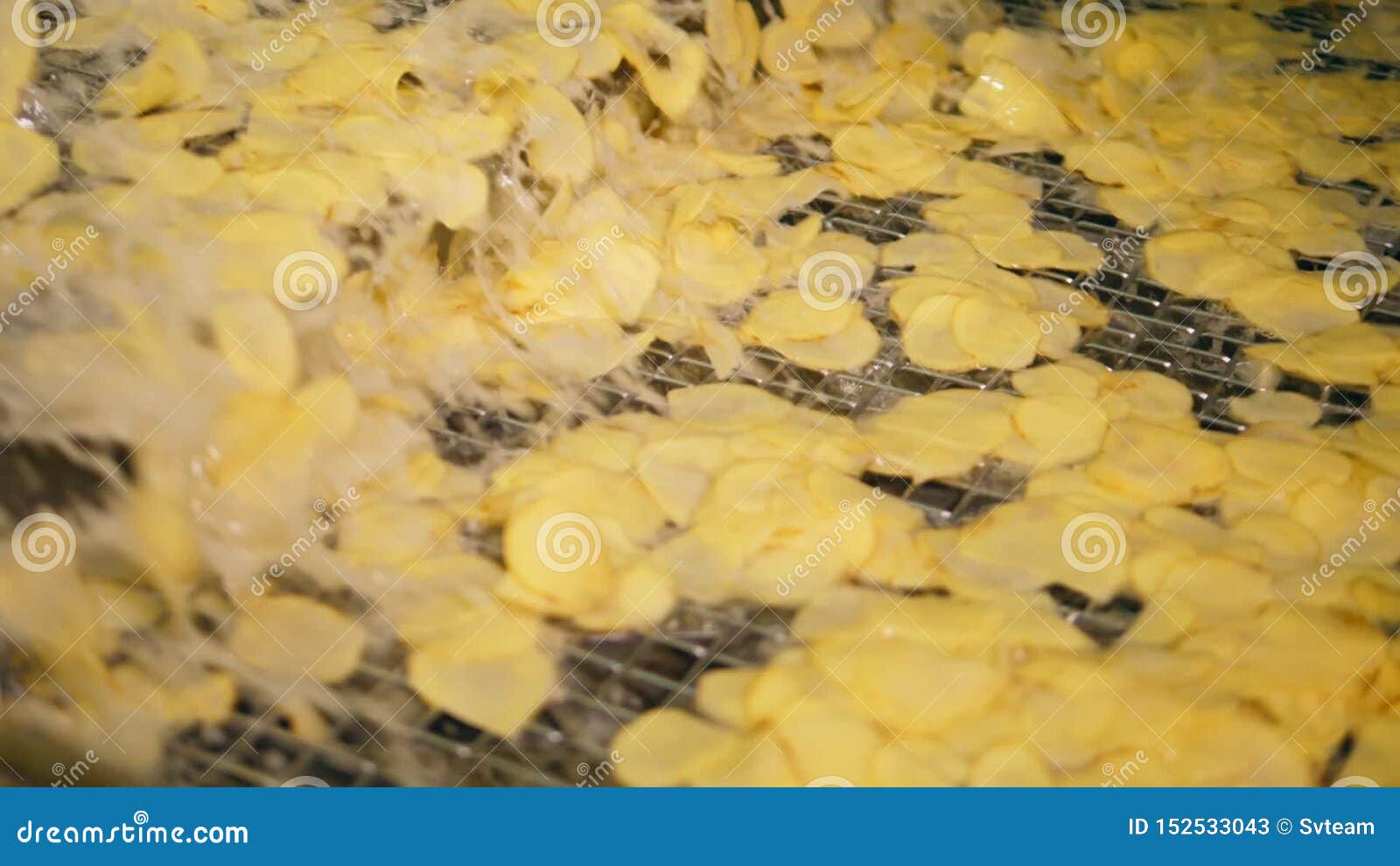 Process of Frying Potato Chips on a Factory Conveyor. Stock Video ...