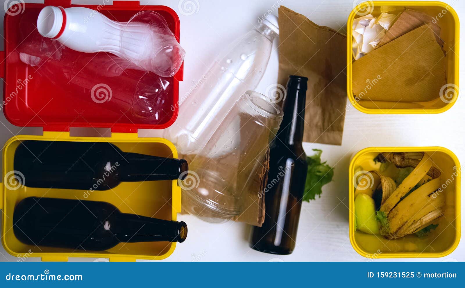 Process of Garbage Sorting in Different Bins, Ecology and Recycling ...