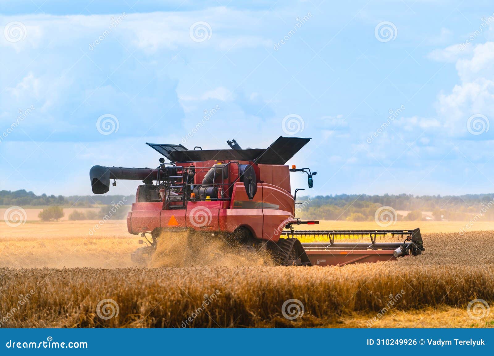 Process of Gathering Ripe Crop from the Fields. Agricultural Technic in ...
