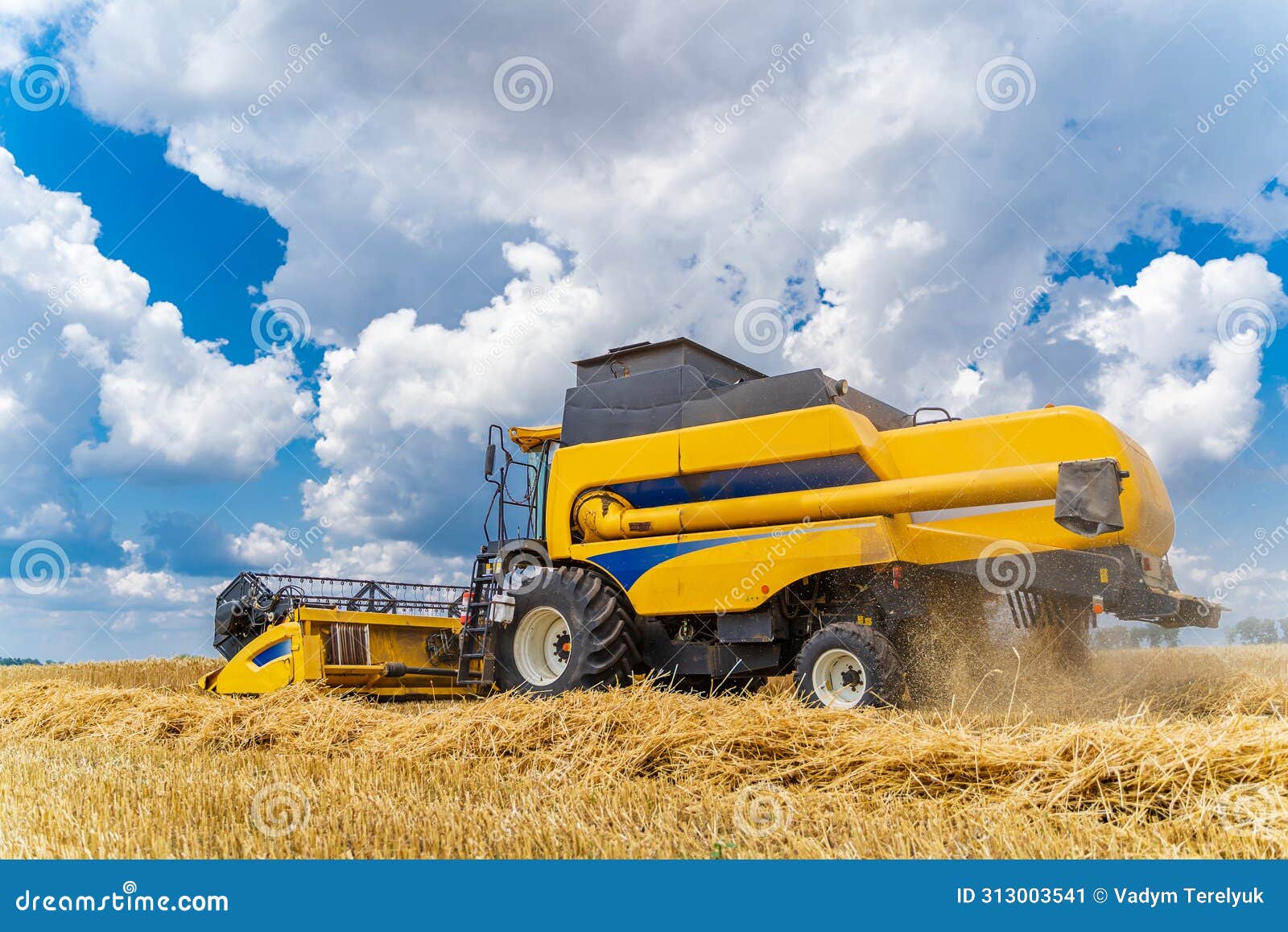 Process of Gathering a Ripe Crop from the Fields. Combine Harvester in ...