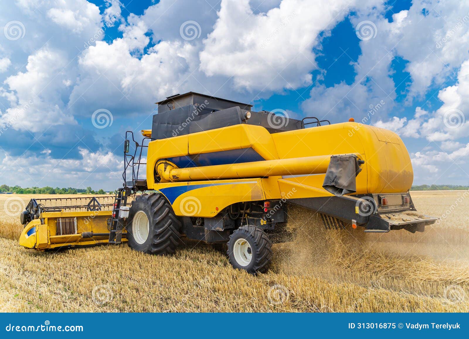 Process of Gathering a Ripe Crop from the Fields. Combine Harvester in ...