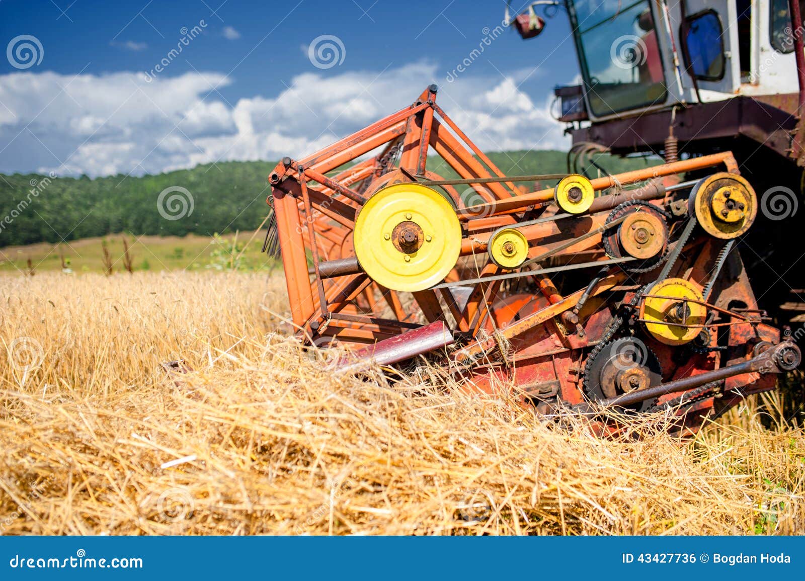 Process of Harvesting with Combine, Gathering Mature Grain Crops Stock ...