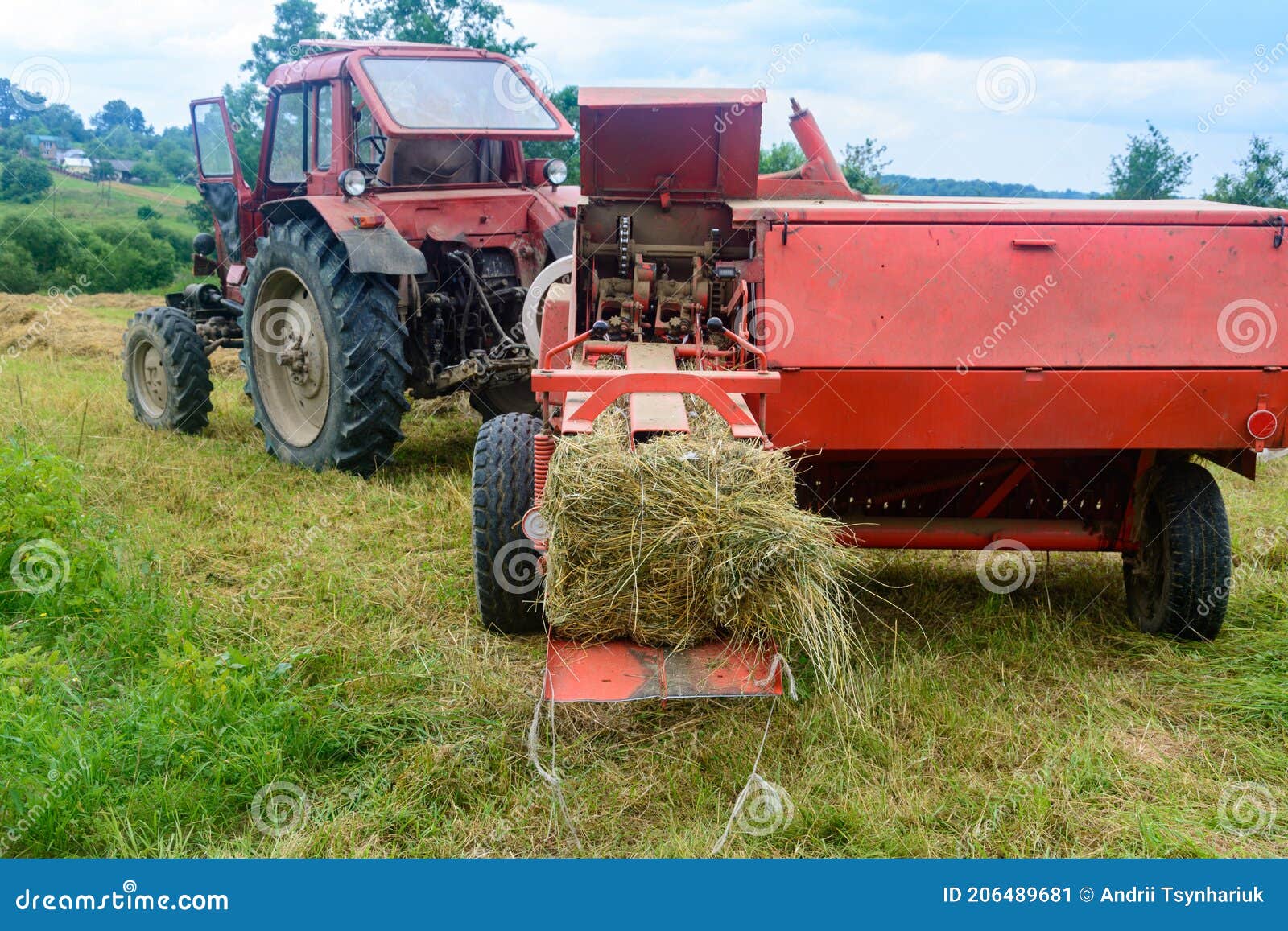 The Process of Harvesting Hay for Cattle, a Tractor Making Bales in the ...