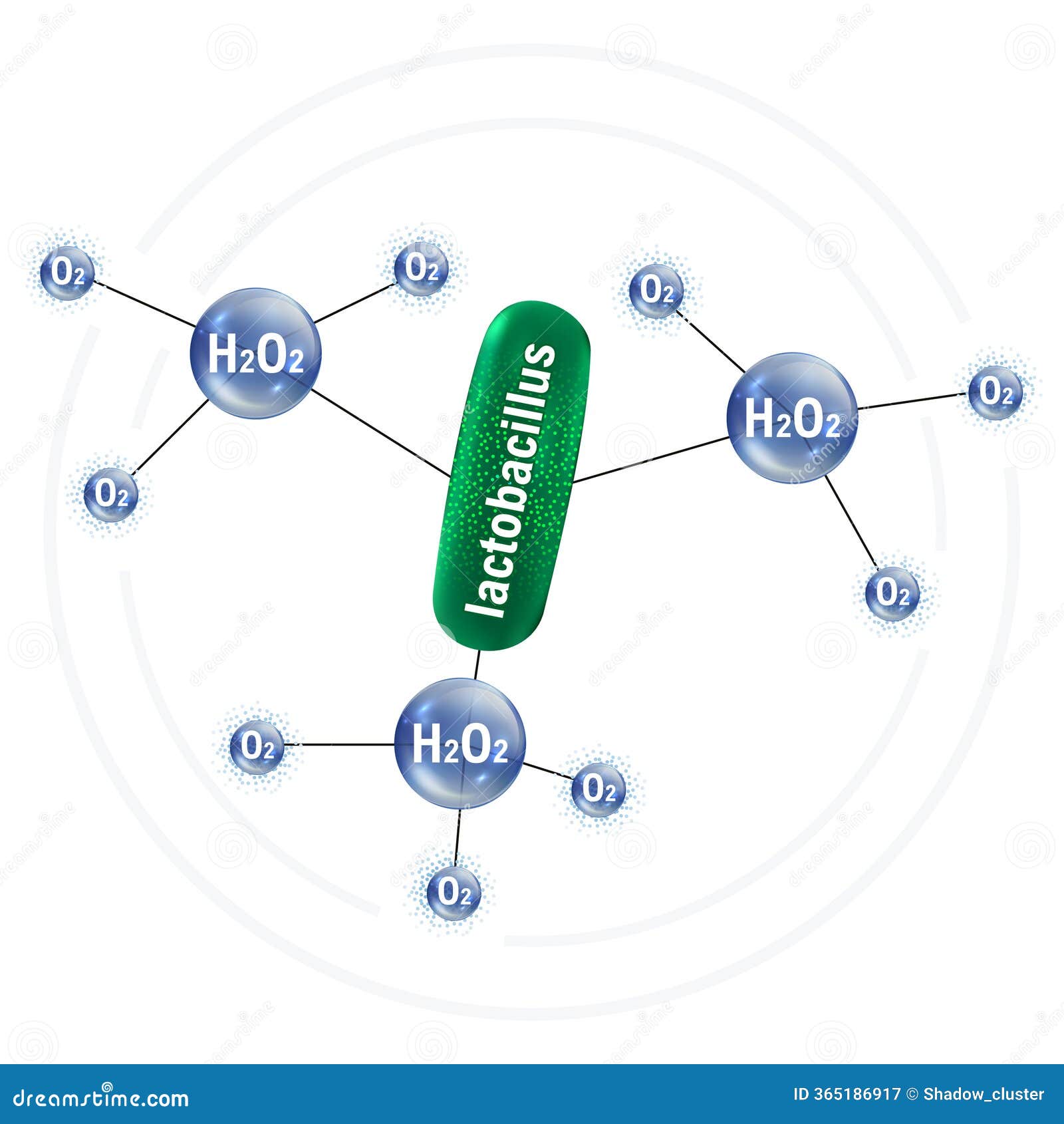 Hydrogen Peroxide Molecular Structure, 3d Model Molecule, Oxidizer ...