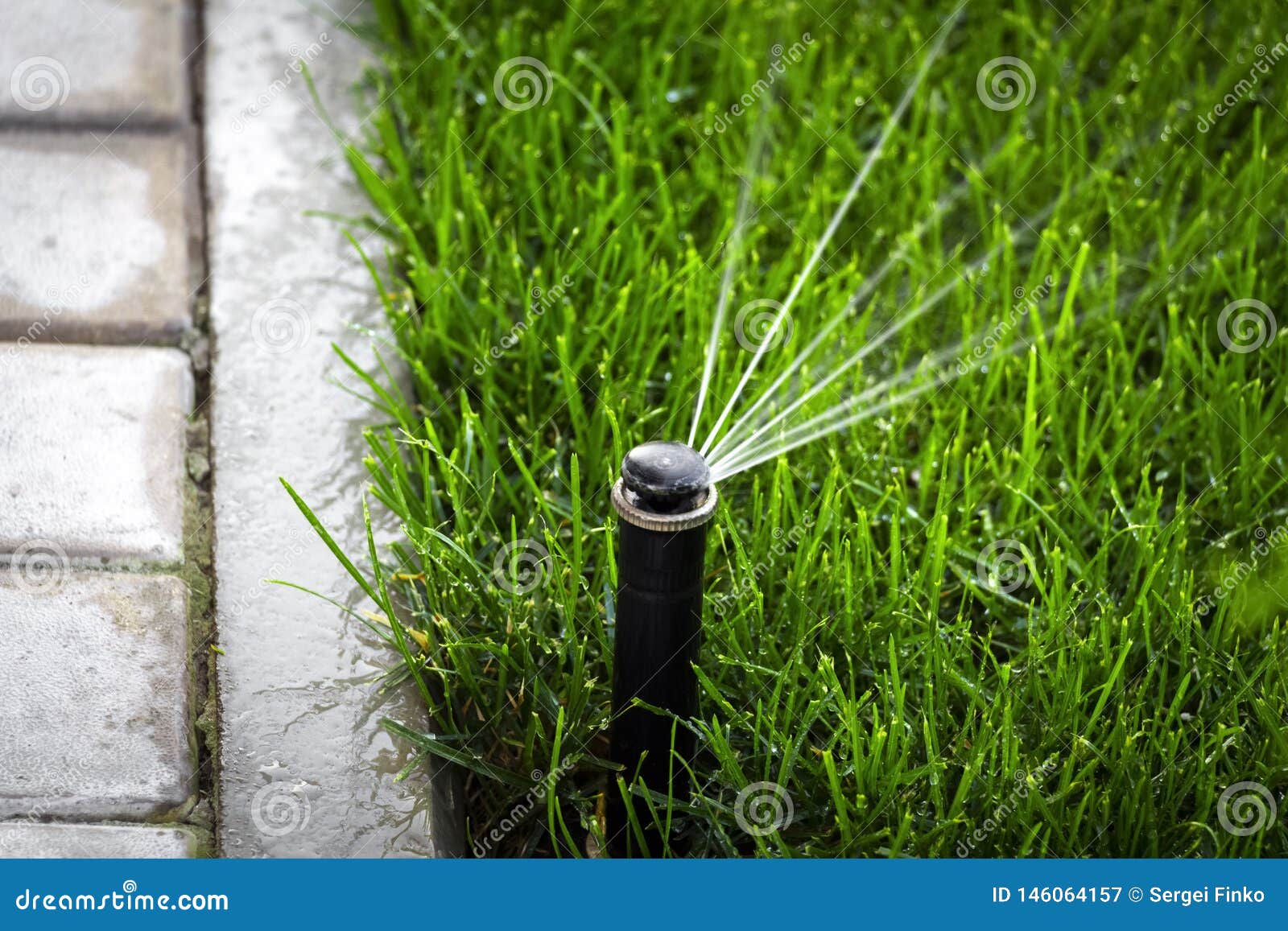 The process of irrigation stock image. Image of irrigation - 146064157