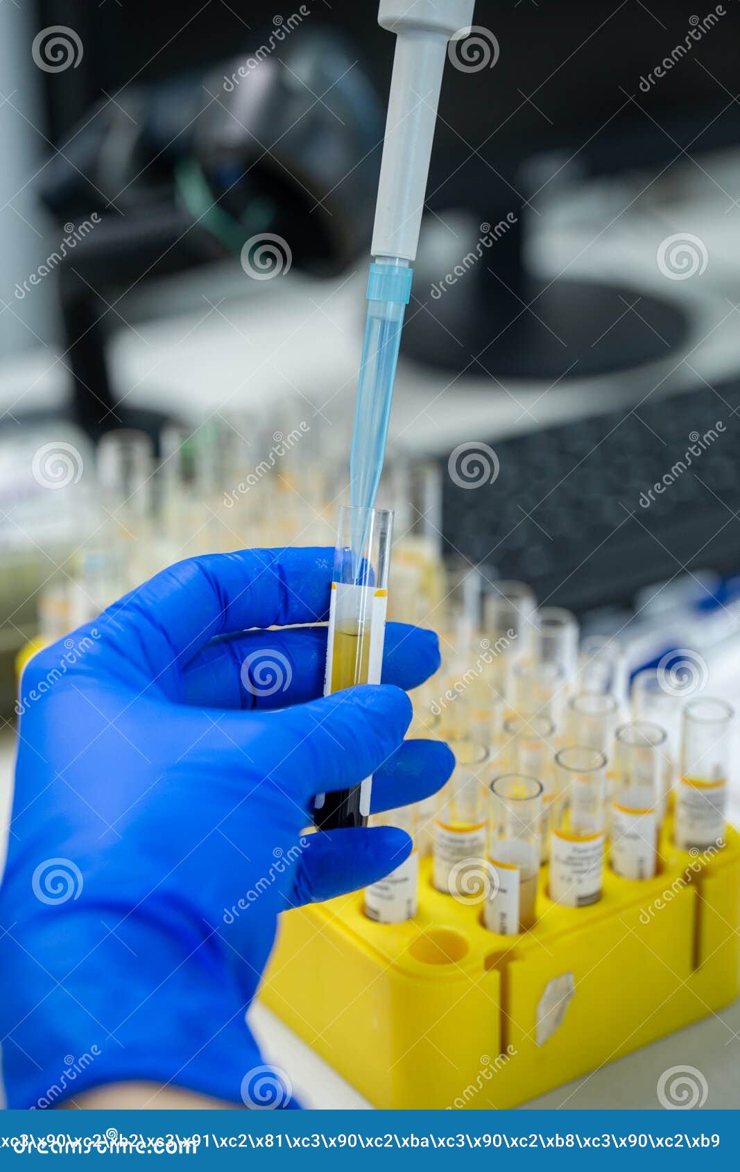 The Process of Laboratory Work in the Clinic in the Office Stock Photo ...