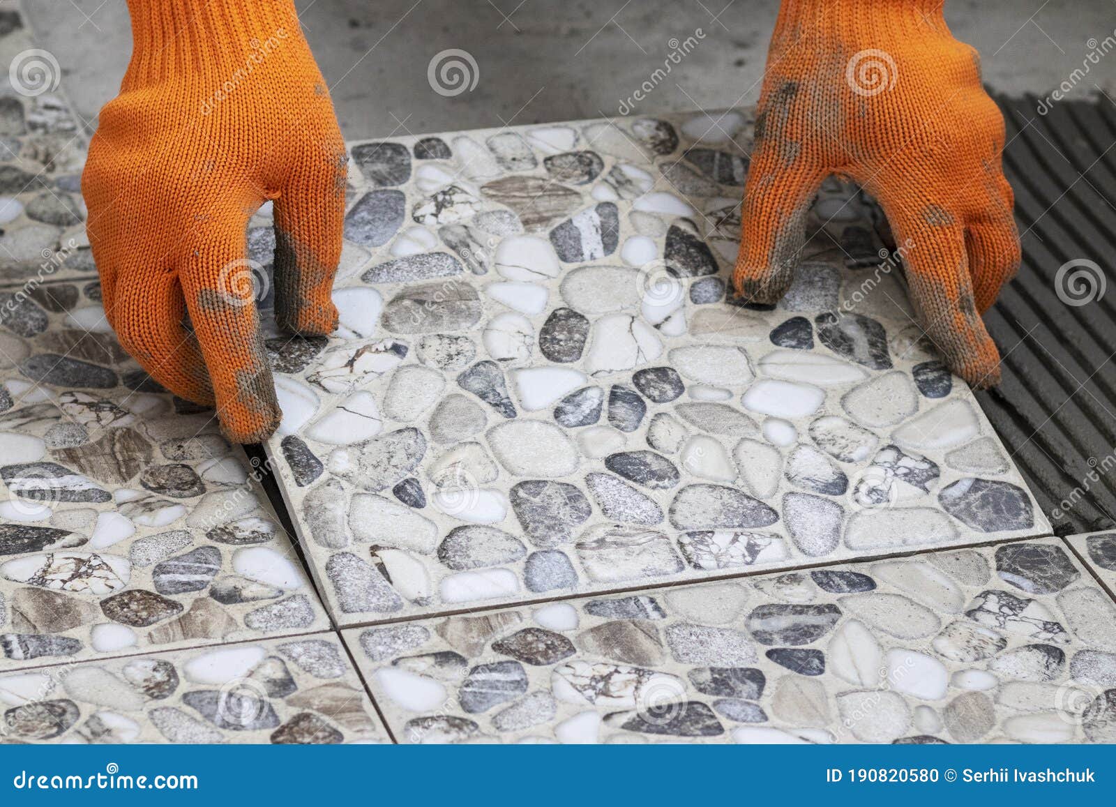 Process of Laying Ceramic Tiles on Floor Smeared with Glue. Worker`s ...