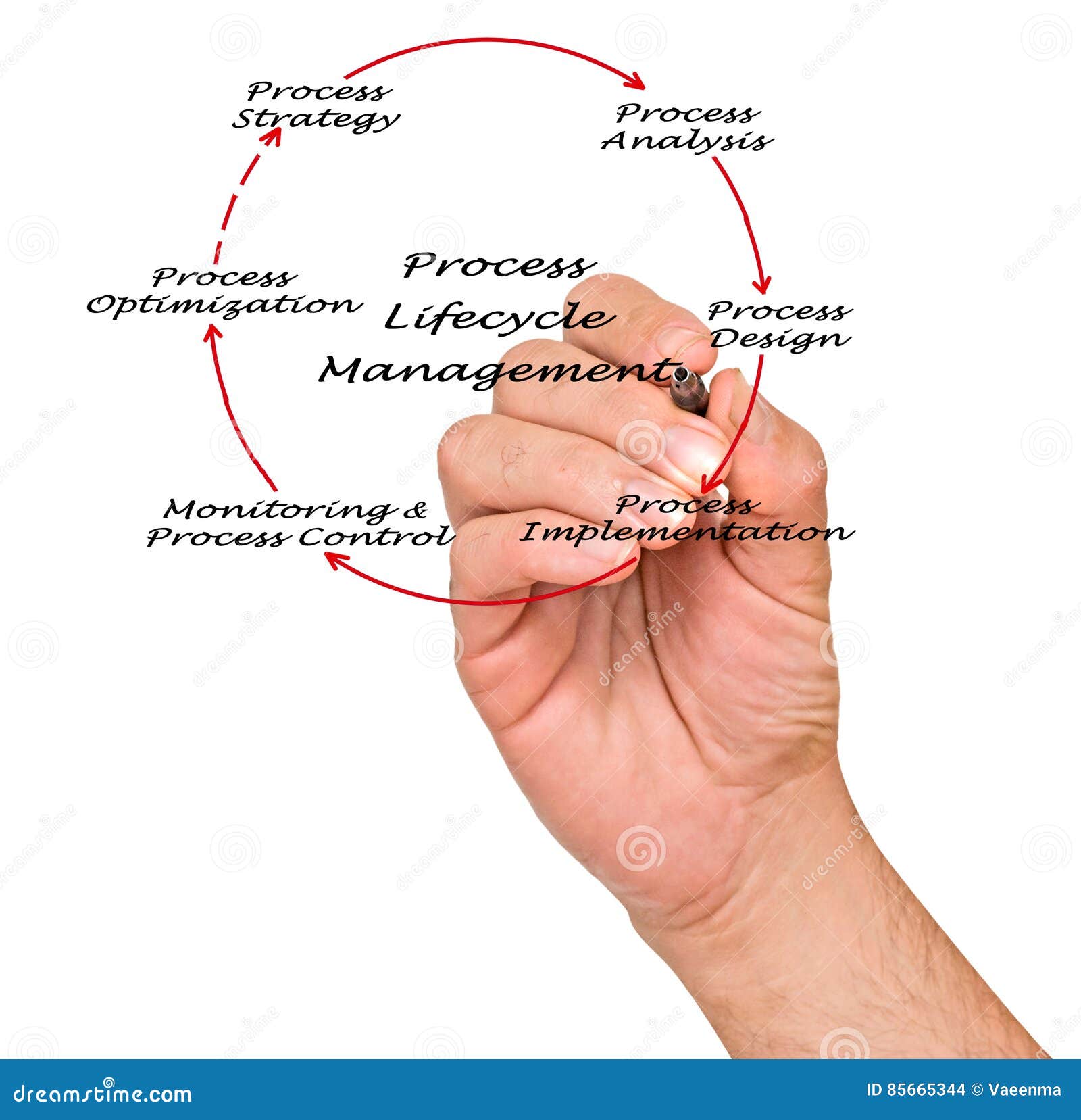 Process Lifecycle Management Stock Photo - Image of life, manager: 85665344