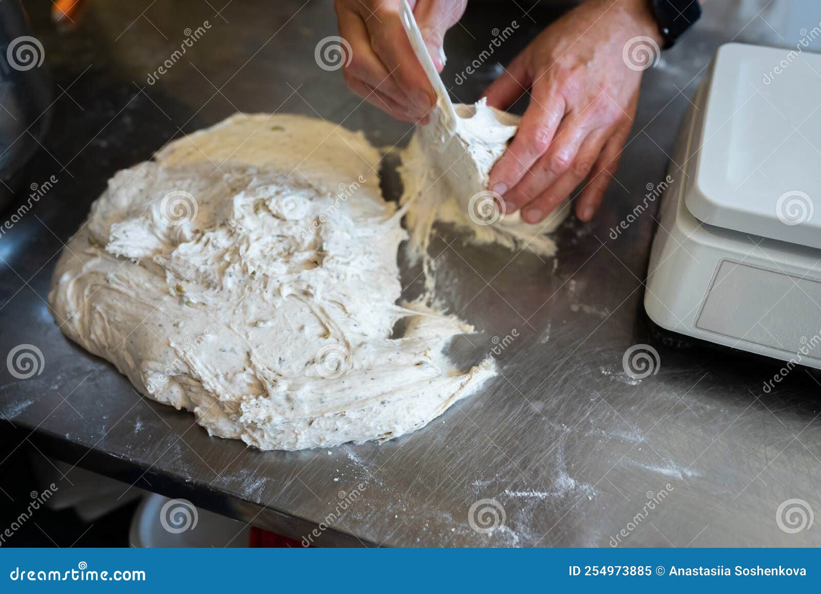 The Process of Making Bread. Dividing the Wheat Dough into Pieces Stock ...