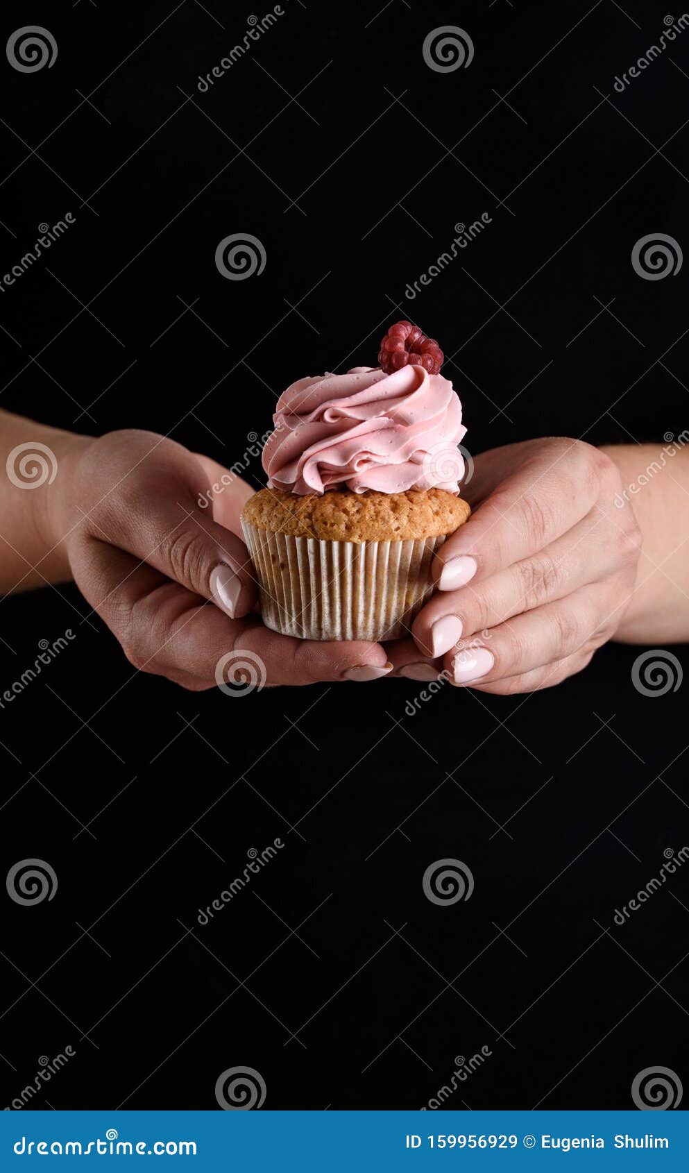 The Process of Making Cupcakes, Coating a Cream from a Pastry Bag in ...