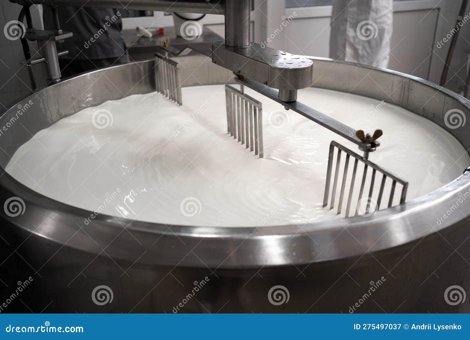 Process of Making Dairy Products in Modern Dairy Factory. Preparing ...