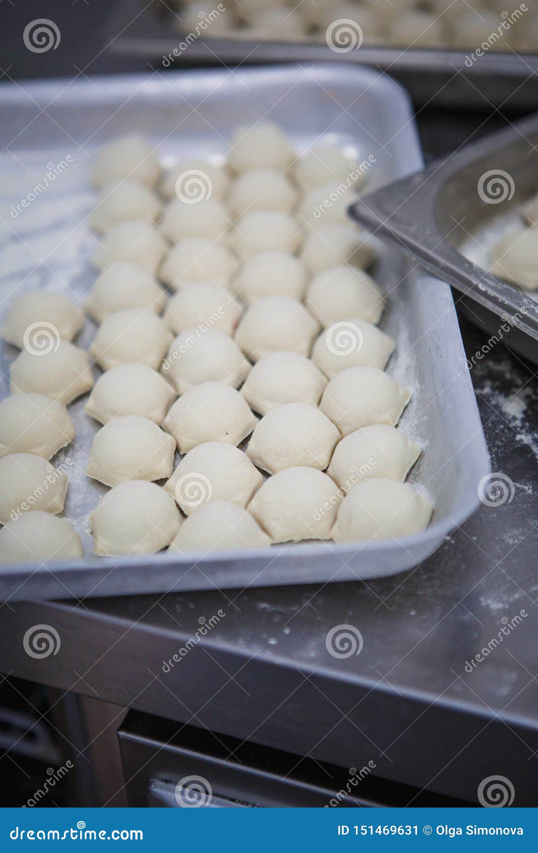 The Process of Making Dumplings, Dumplings Close-up. Stock Image ...