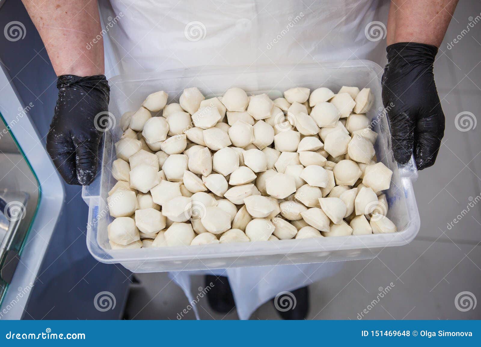 The Process of Making Dumplings, Dumplings Close-up. Stock Photo ...