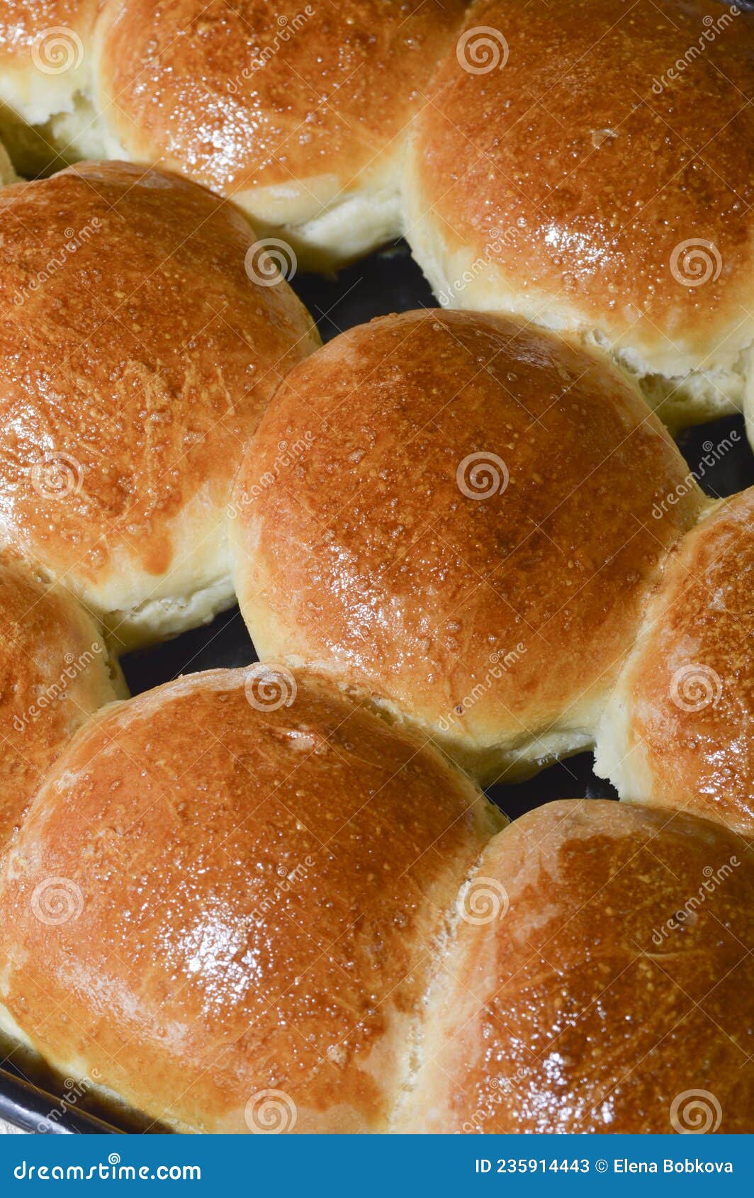 The Process of Making Fresh Round-shaped Yeast Buns Stock Image - Image ...