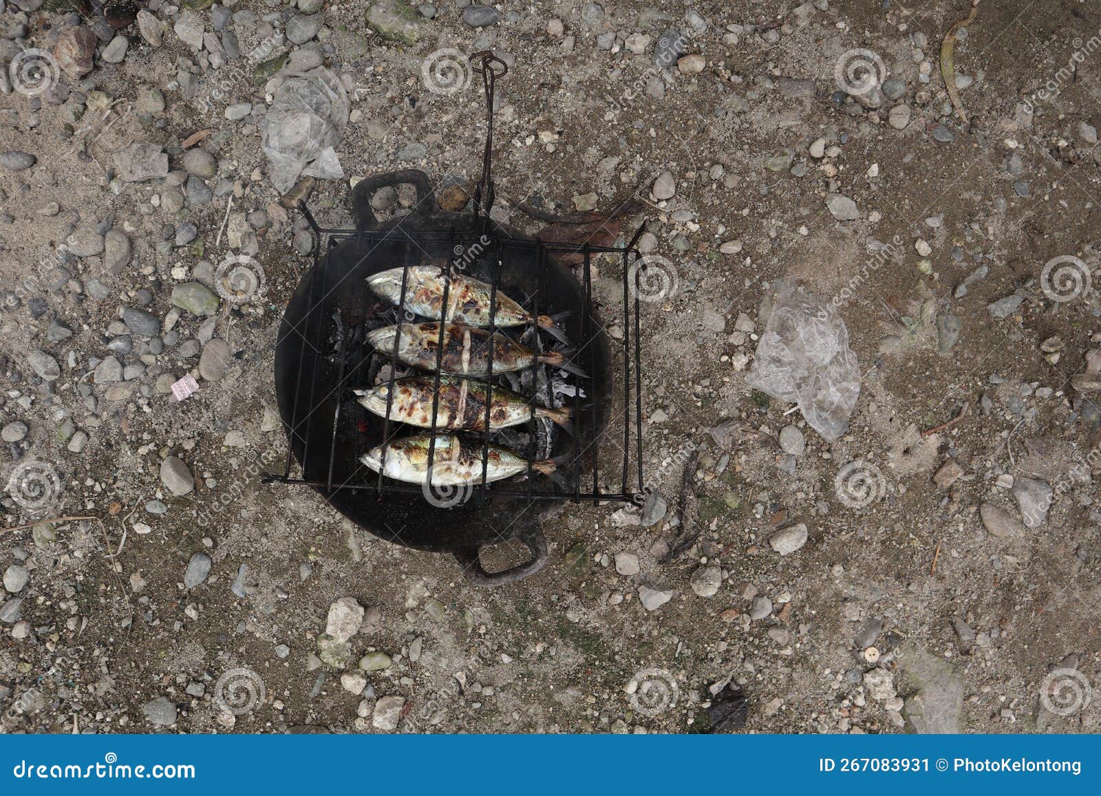 The Process of Making Grilled Fish that is Burned Over Coconut Shell ...