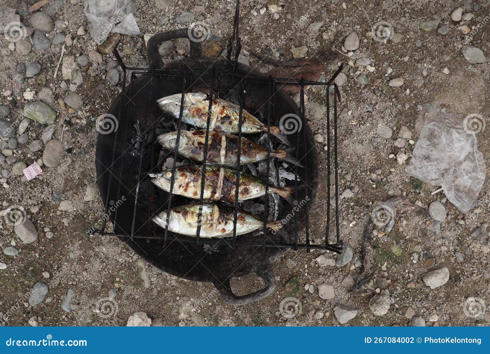 The Process of Making Grilled Fish that is Burned Over Coconut Shell ...