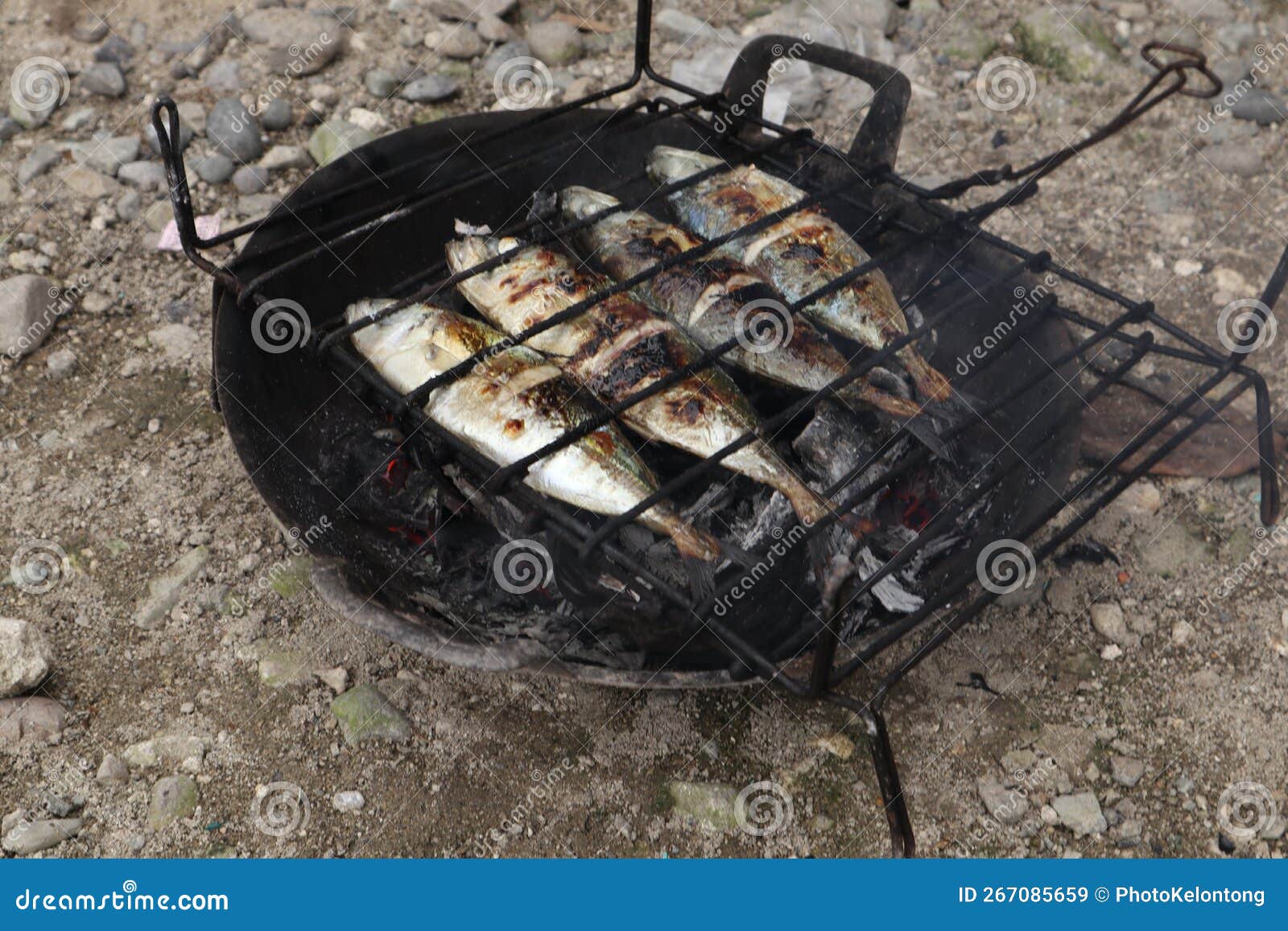 The Process of Making Grilled Fish that is Burned Over Coconut Shell ...