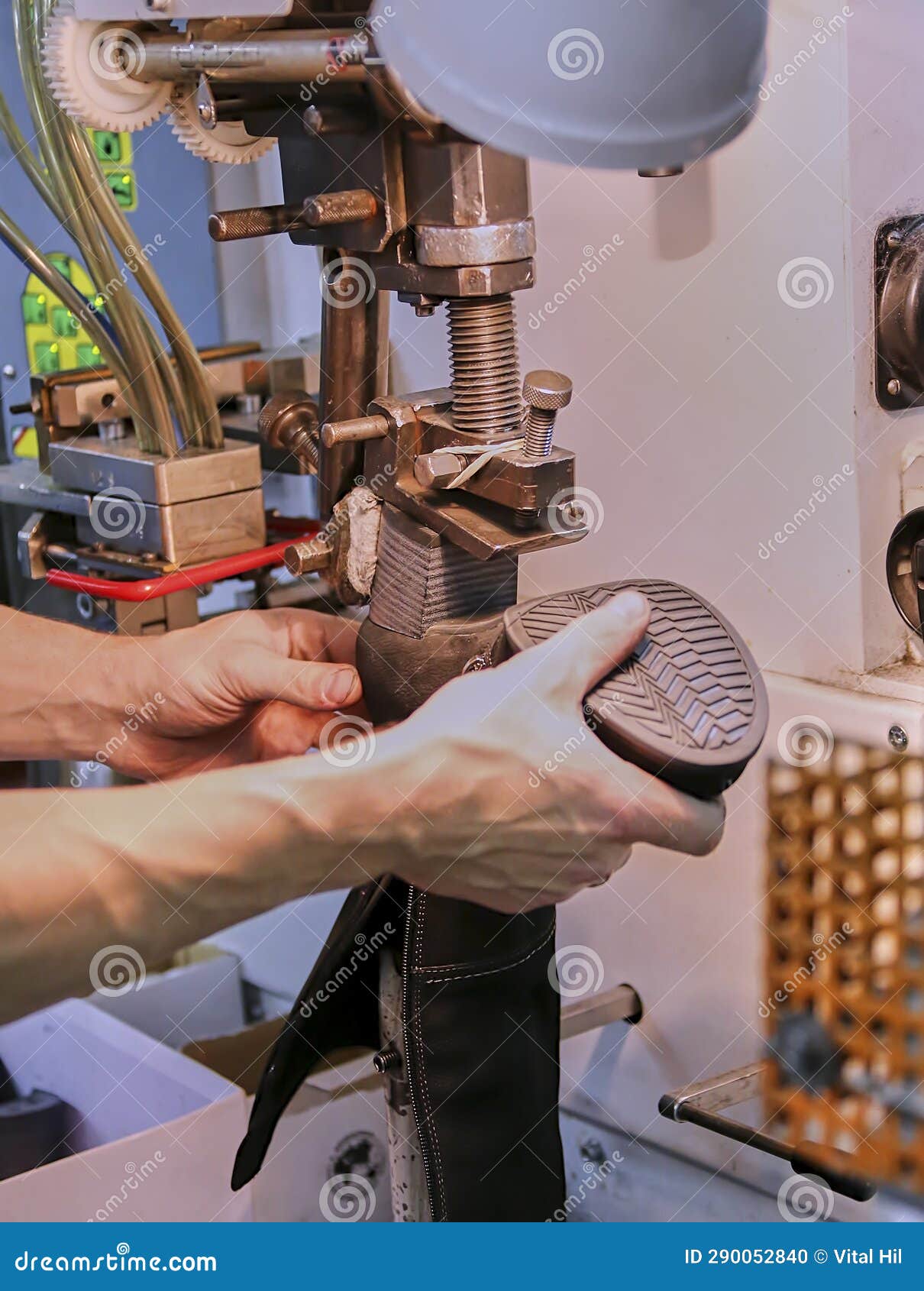 The Process of Making Shoes in a Factory Stock Photo - Image of human ...