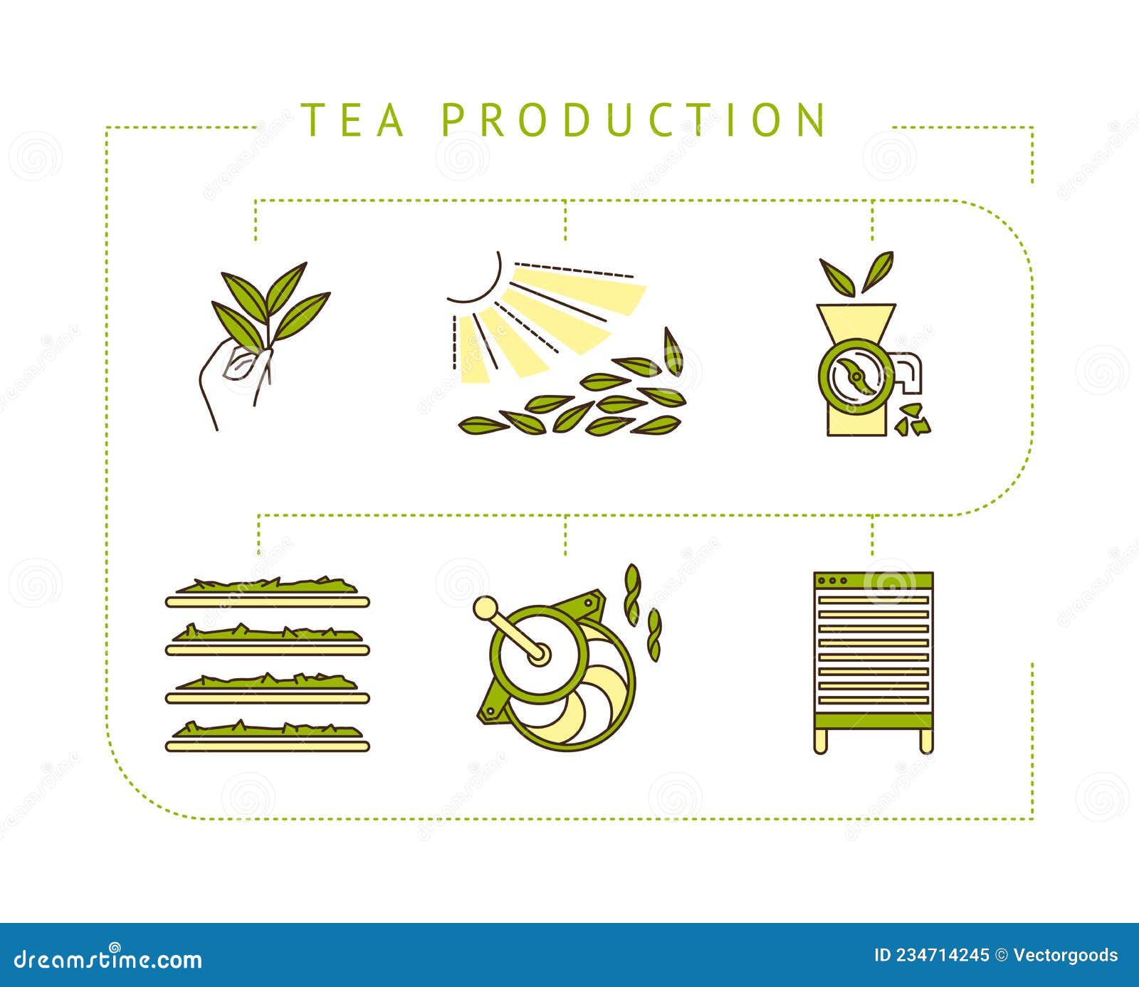 The Process of Making Tea by Stages Stock Vector - Illustration of food ...