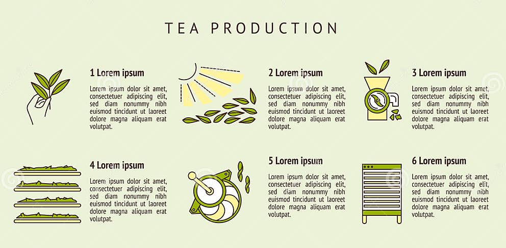 The Process of Making Tea by Stages Stock Vector - Illustration of icon ...