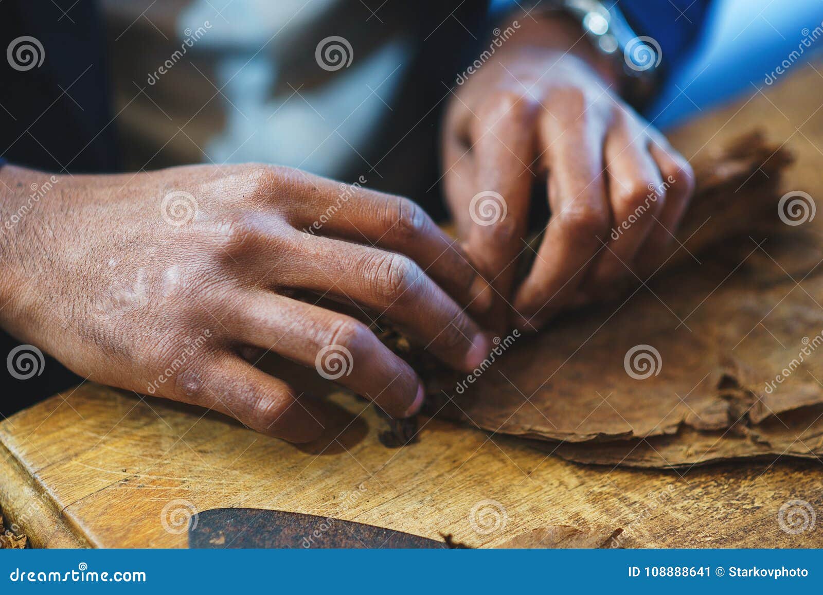 Process of Making Traditional Cigars from Tobacco Leaves with Own Hands ...