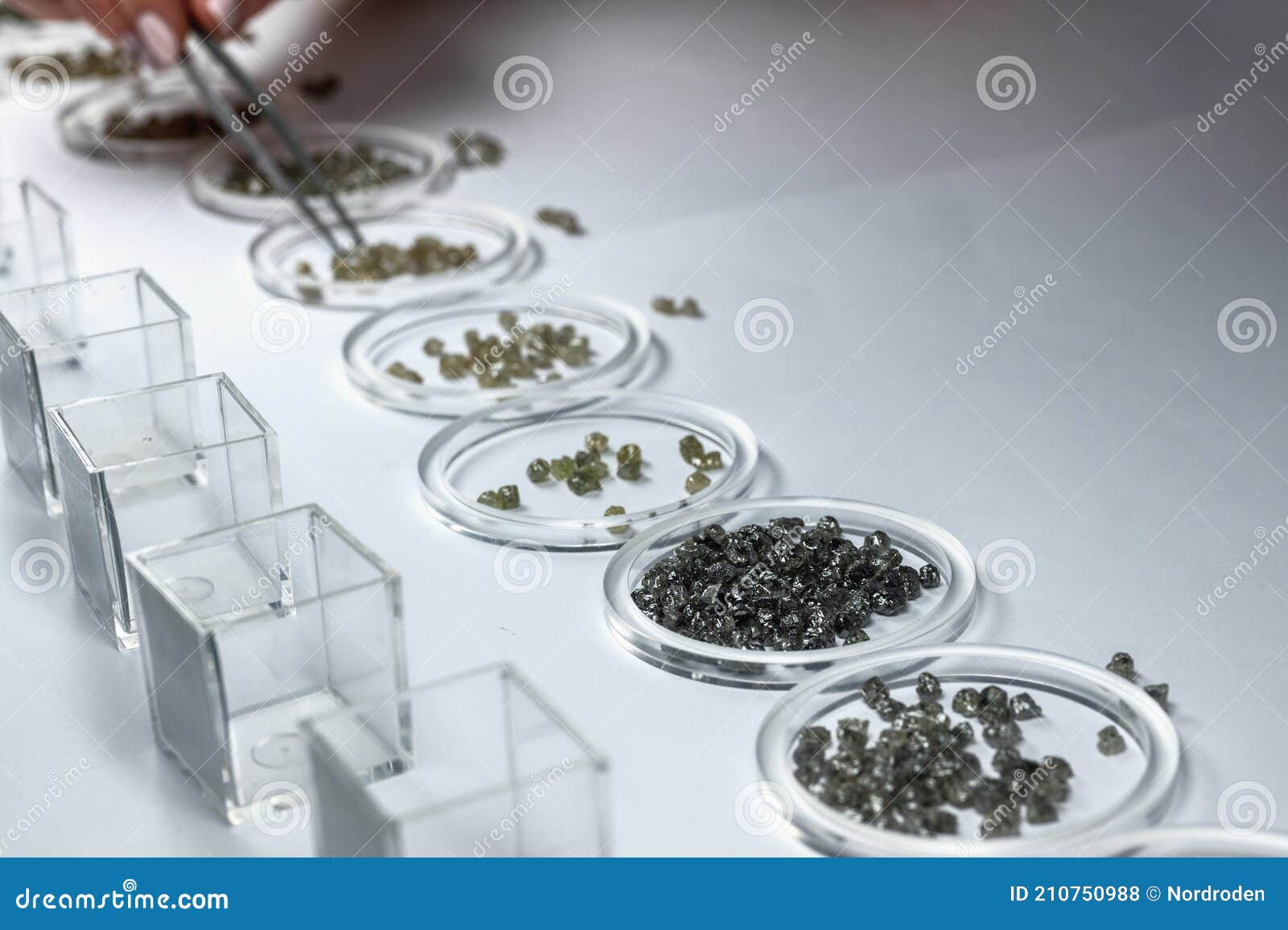 The Process of Manual Sorting of Diamonds. Gemstones are Sorted by ...