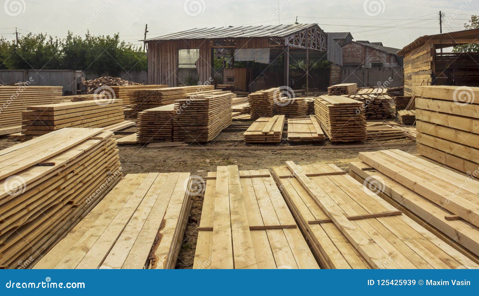 The Process of Manufacturing a Pine Board. Stock Image - Image of ...