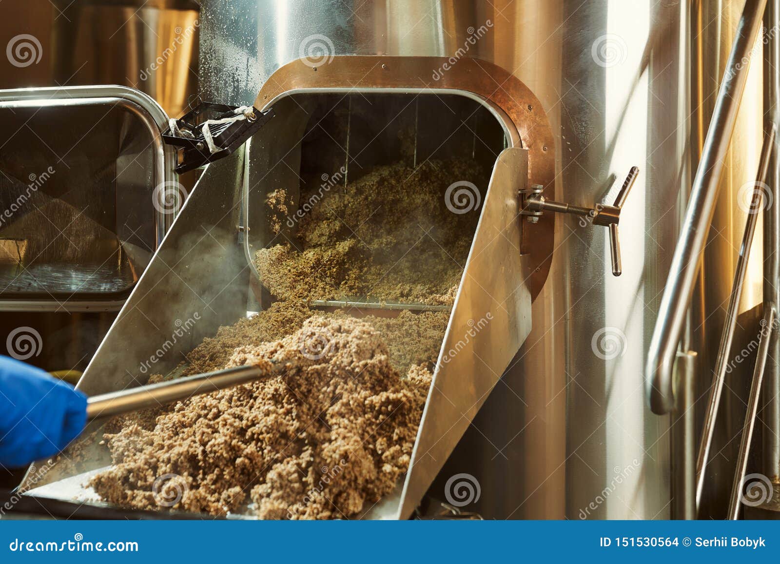 Process of Mashing of Milled Malt Grains. Stock Photo - Image of ...