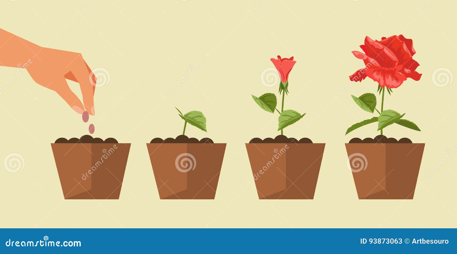The Process of Plant Growth Stock Vector - Illustration of garden, soil ...