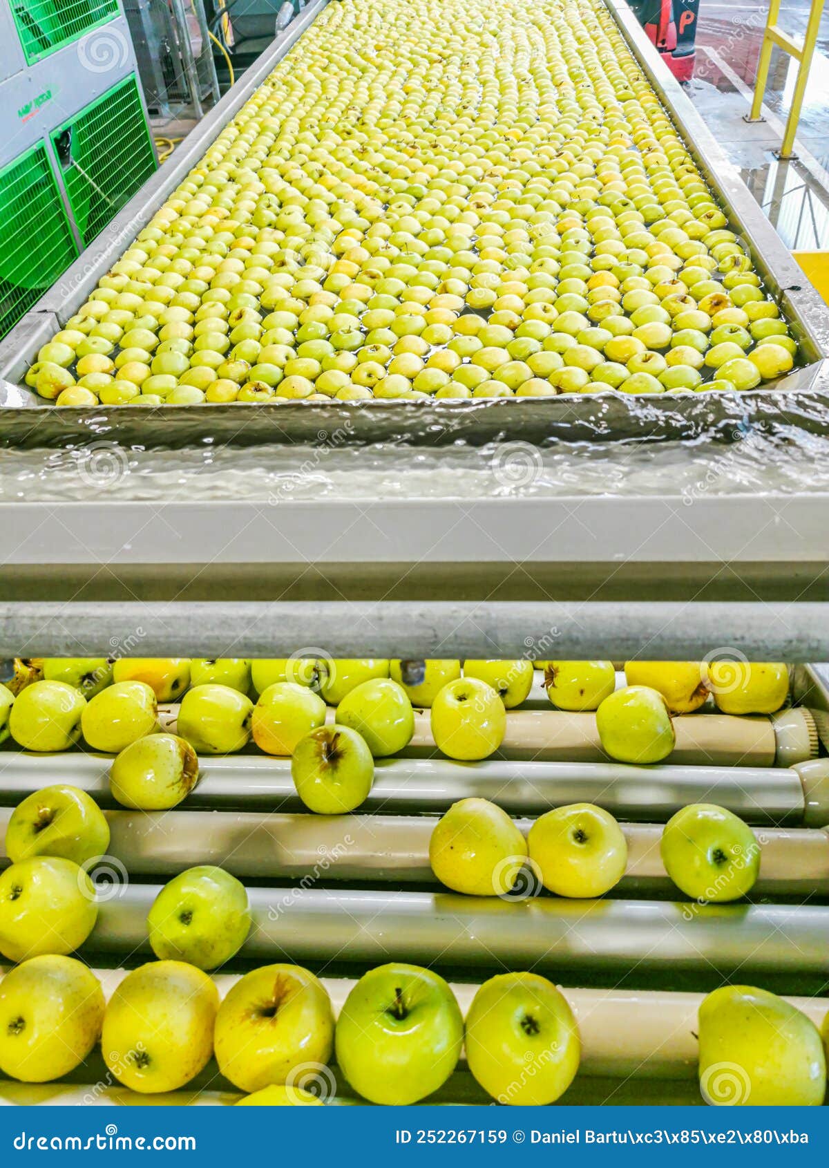 The Process of Preparing Apples and Their Processing in a Pool of Water ...