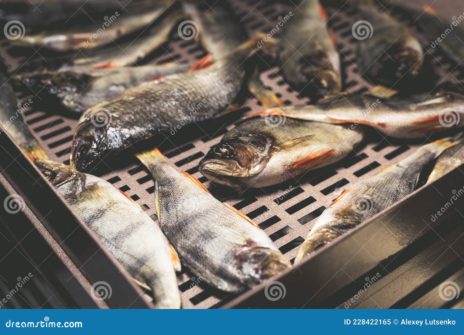 The Process of Preparing Dried Fish with an Automatic Dryer at Home ...